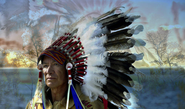 " OGEMAWAKAN " BY NADINE TRACK - WallCandy Art Gallery